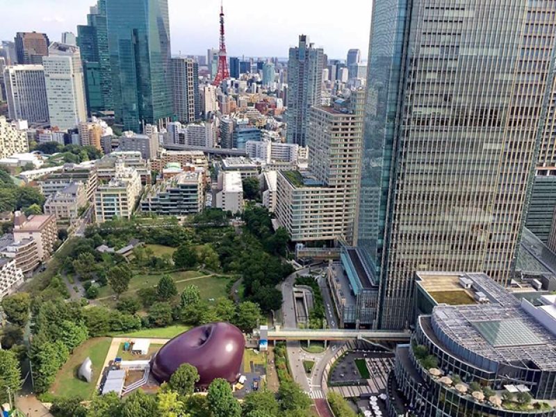 Anish Kapoor: Ark Nova Tokyo 2017