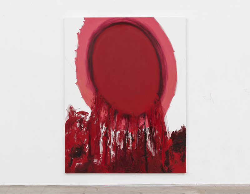 Anish Kapoor: Blood Hole