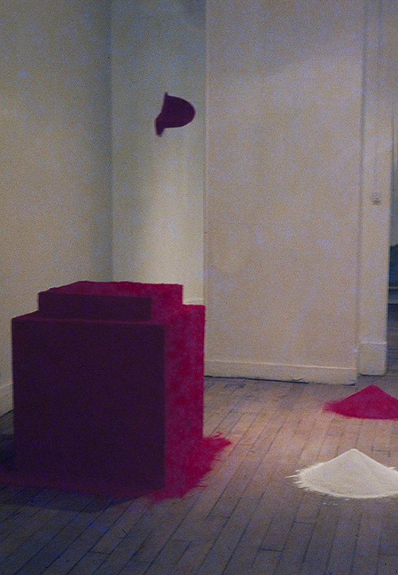 Anish Kapoor: Patrice Alexandre 1980