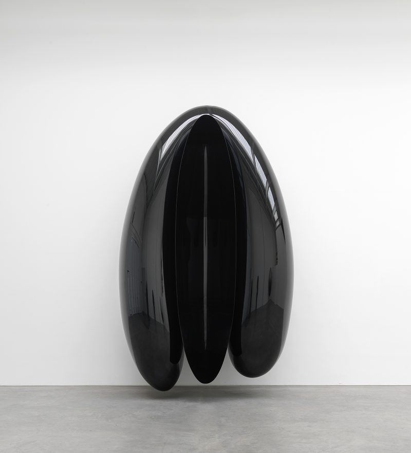 Anish Kapoor: Hidden Mirror / Shulamite and Lajja Gauri